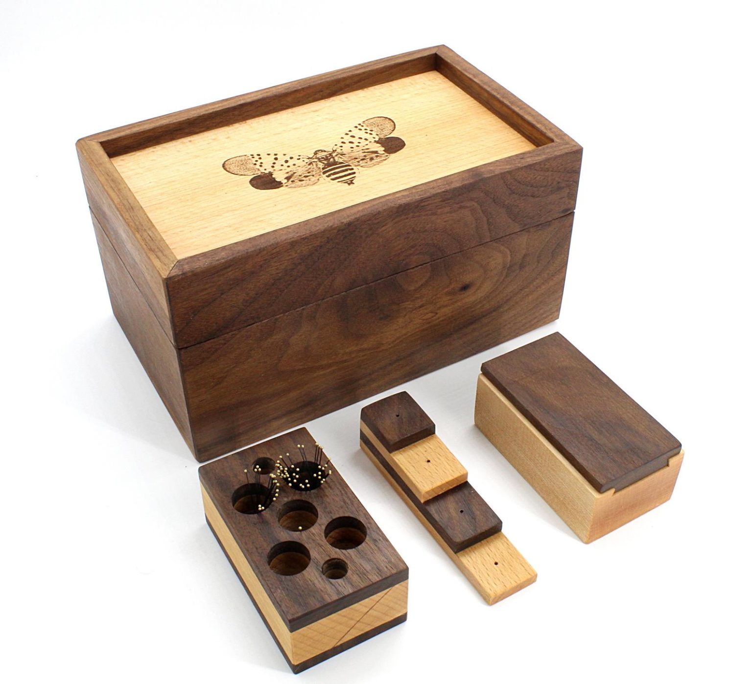 Insect Pinning Kit with Spotted Lanternfly Engraving – The Spotted ...