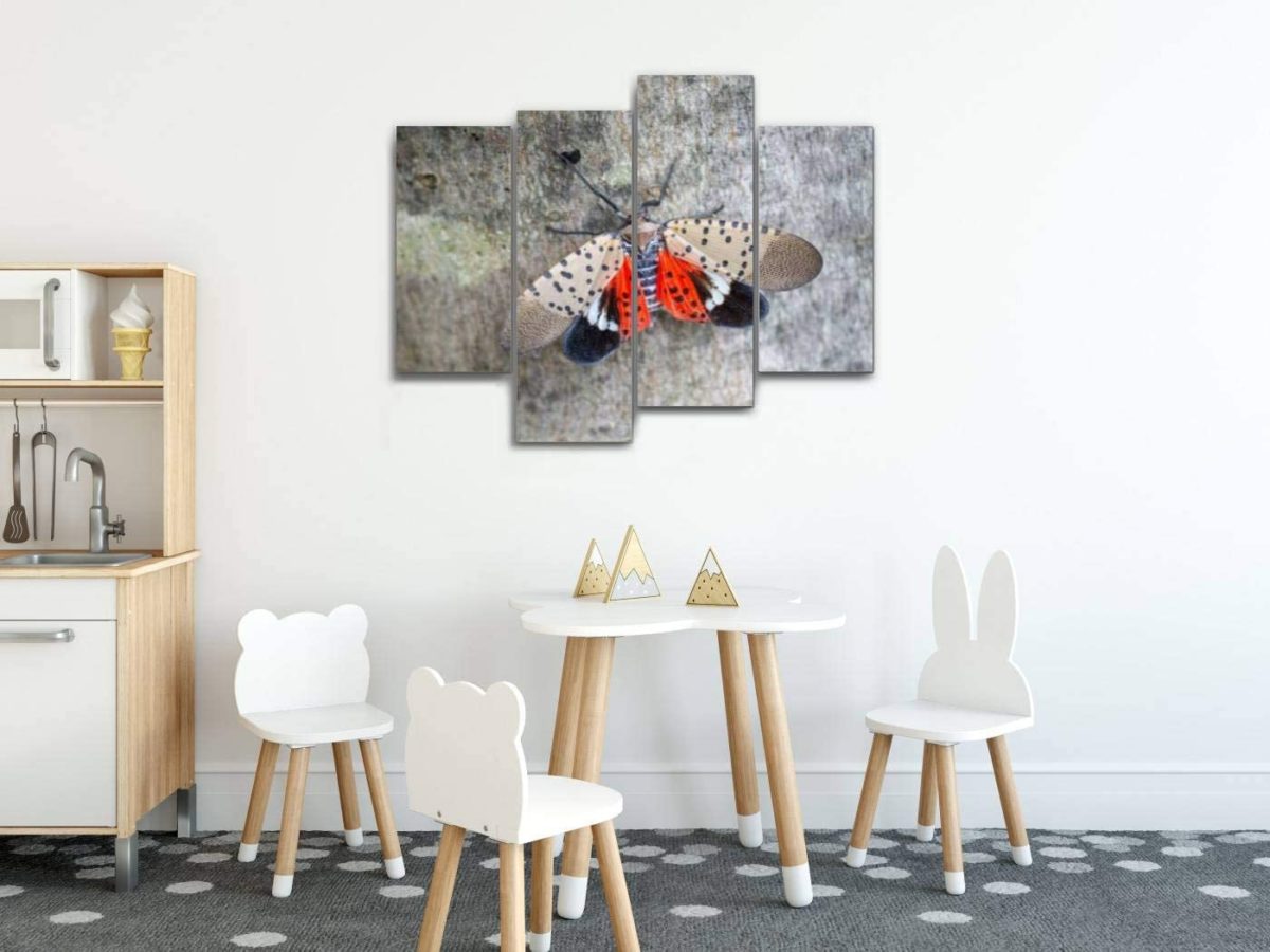 Spotted Lanternfly on Maple Tree 4-Panel Poster – The Spotted ...