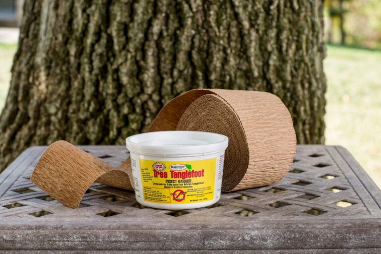 Tanglefoot Tree Care Kit with Tree Insect Barrier & Tangle-Guard Wrap ...
