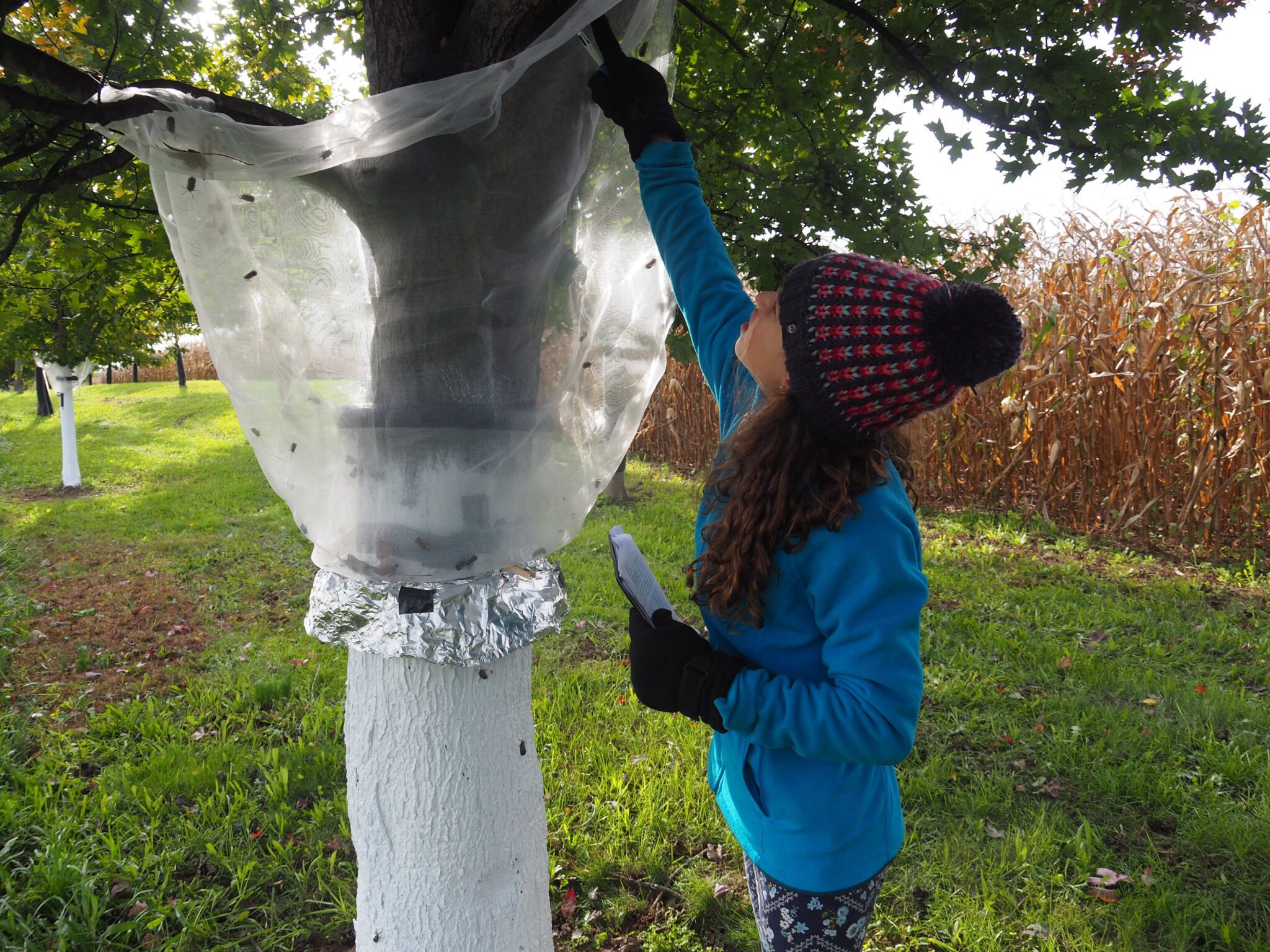 Pennsylvania Teen Wins National Science Fair and Patent for Spotted ...