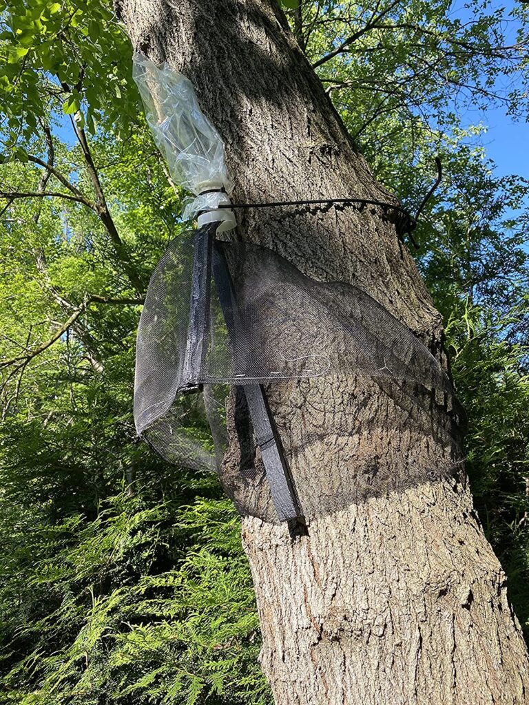 Spotted Lanternfly Trap – The Spotted Lanternfly Shop